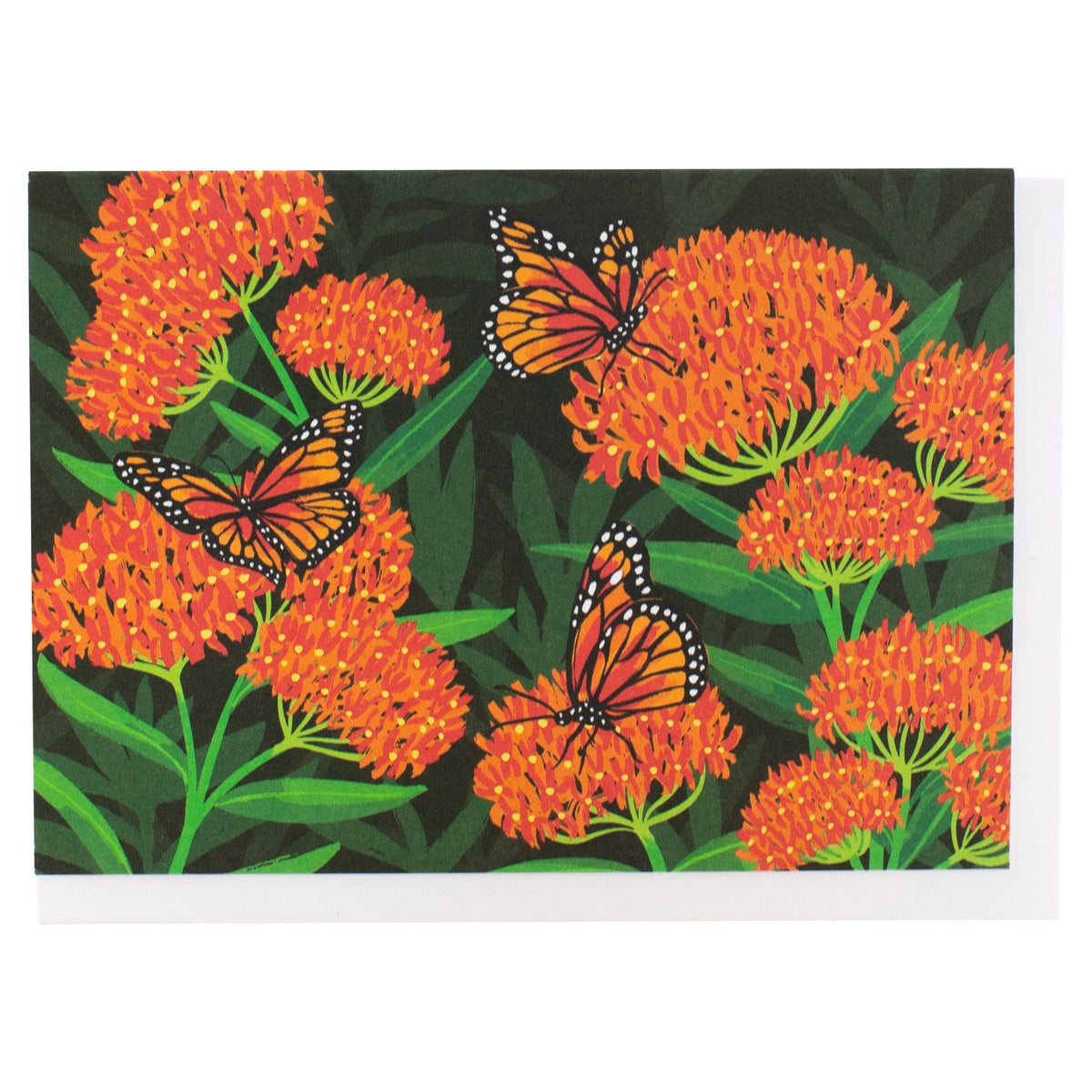 Butterfly Milkweed Note Card | Smudge Ink